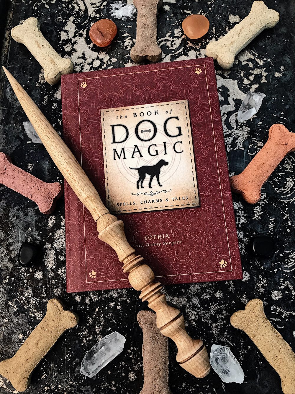 Book review: The Book of Dog Magic by Sophia and Denny Sargent ...
