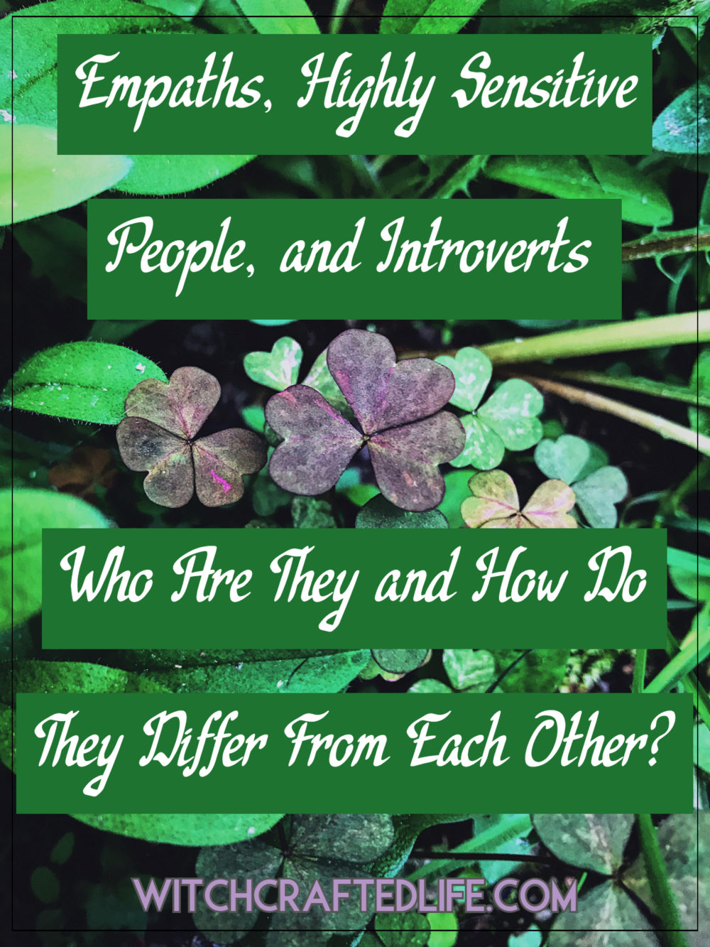 Empaths, Highly Sensitive People, and Introverts: Who Are They and How ...