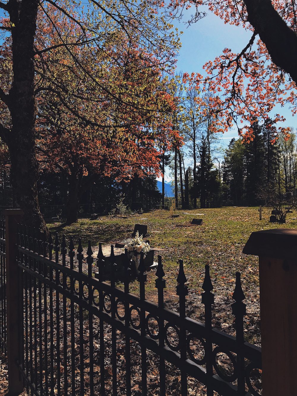 What is Taphophilia? Exploring the Fascinating Subject of Grave Hunting ...