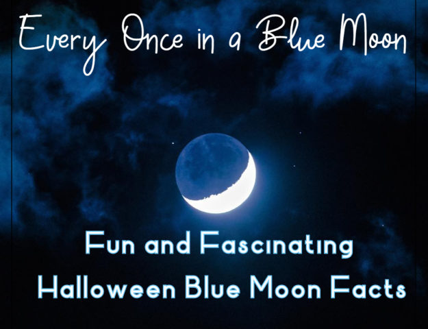 30 Reasons to Love November | Witchcrafted Life