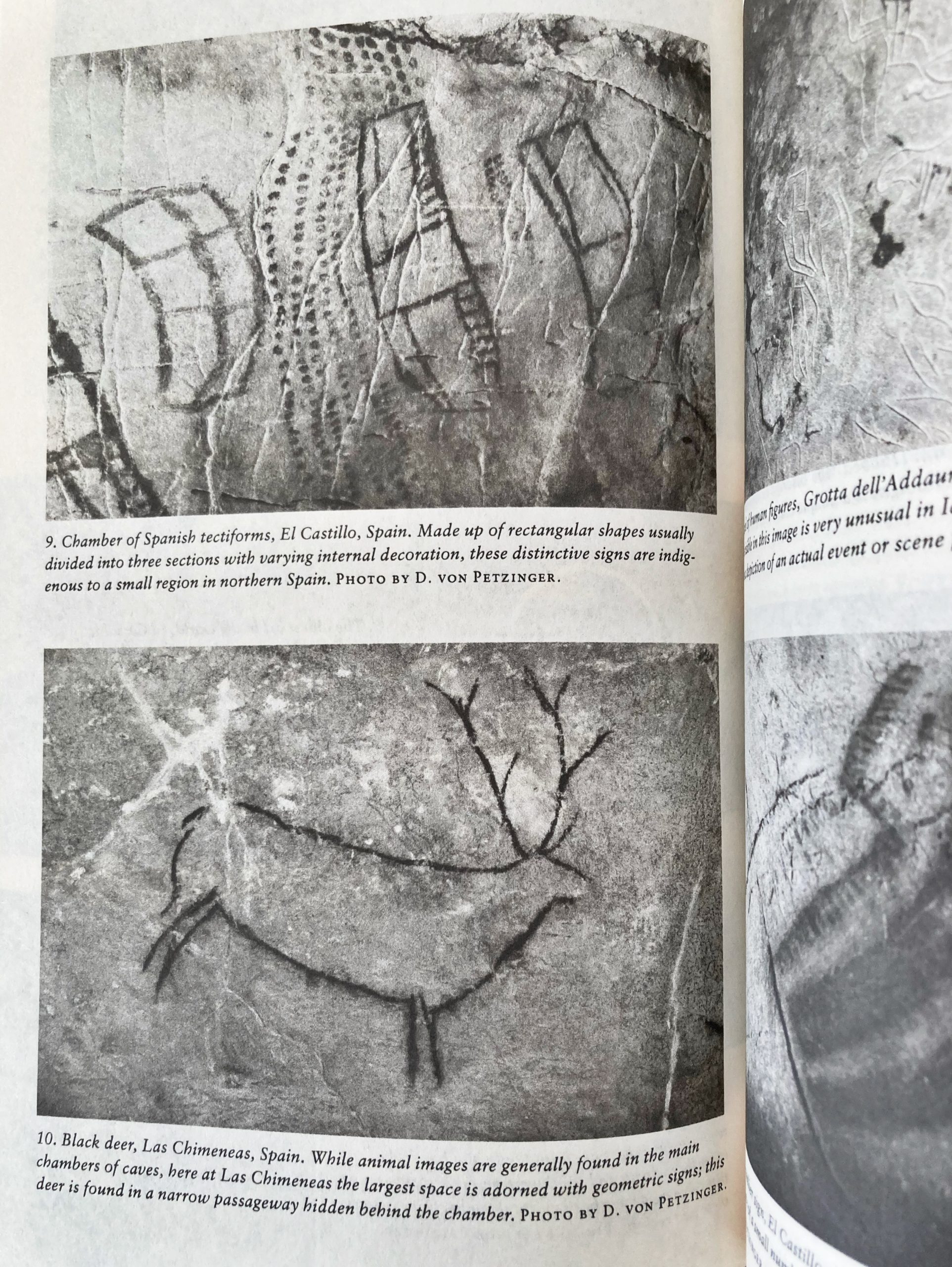 Book review: The First Signs: Unlocking the Mysteries of The World’s ...