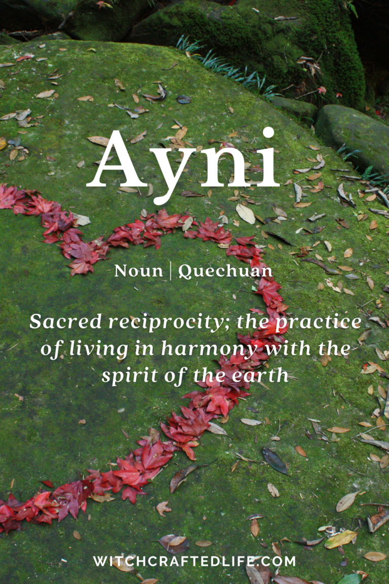 100 Rare and Beautiful Words From Around The World That are Perfect for ...