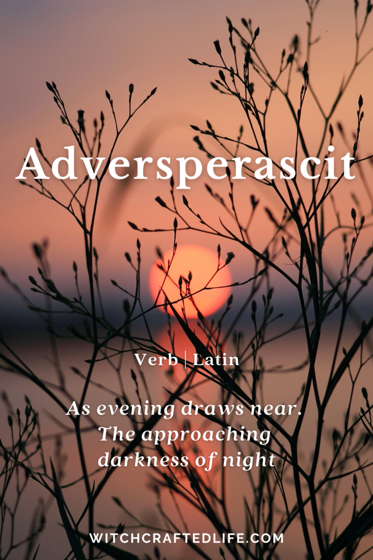 100 Rare and Beautiful Words From Around The World That are Perfect for ...