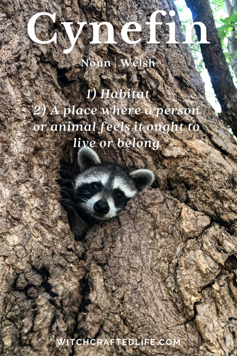 100 Rare and Beautiful Words From Around The World That are Perfect for ...