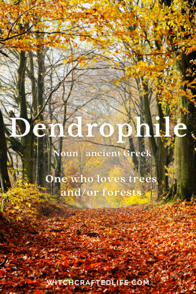 100 Rare and Beautiful Words From Around The World That are Perfect for ...