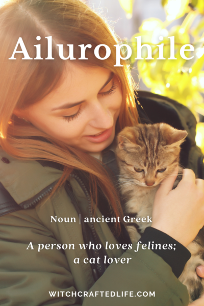 100 Rare and Beautiful Words From Around The World That are Perfect for ...