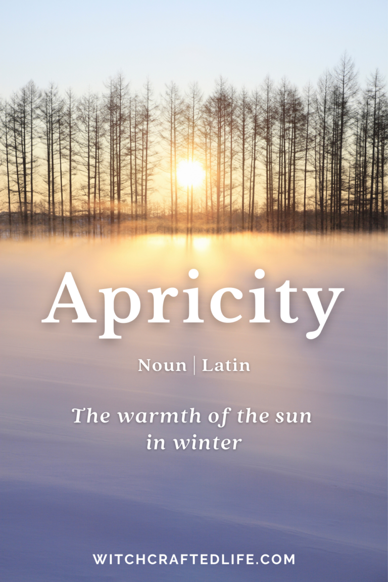 100 Rare and Beautiful Words From Around The World That are Perfect for ...