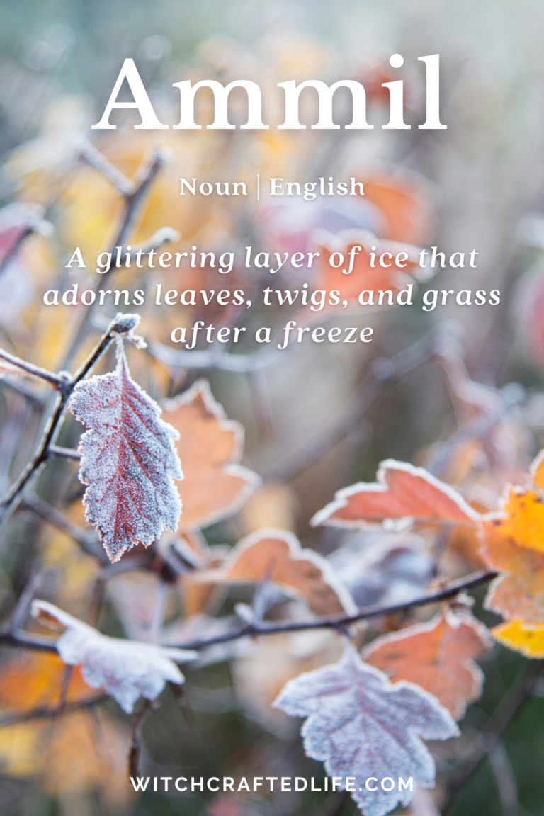 100 Rare and Beautiful Words From Around The World That are Perfect for ...