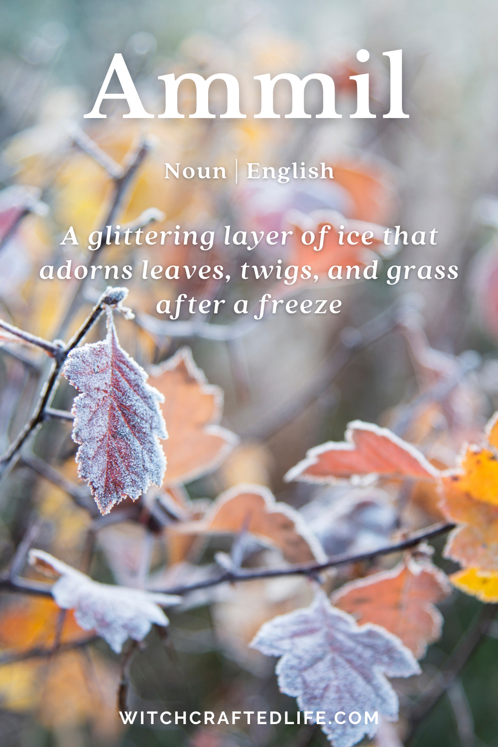 100 Rare and Beautiful Words From Around The World That are Perfect for ...