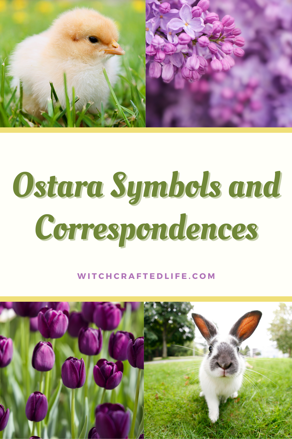 35 Wonderful Ostara Crafts, DIY Projects, and Décor Ideas for The ...