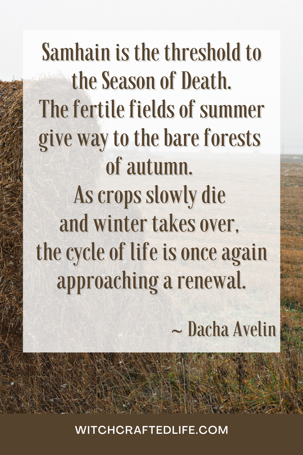 31 Samhain Quotes That are Perfect for The Witches’ New Year ...