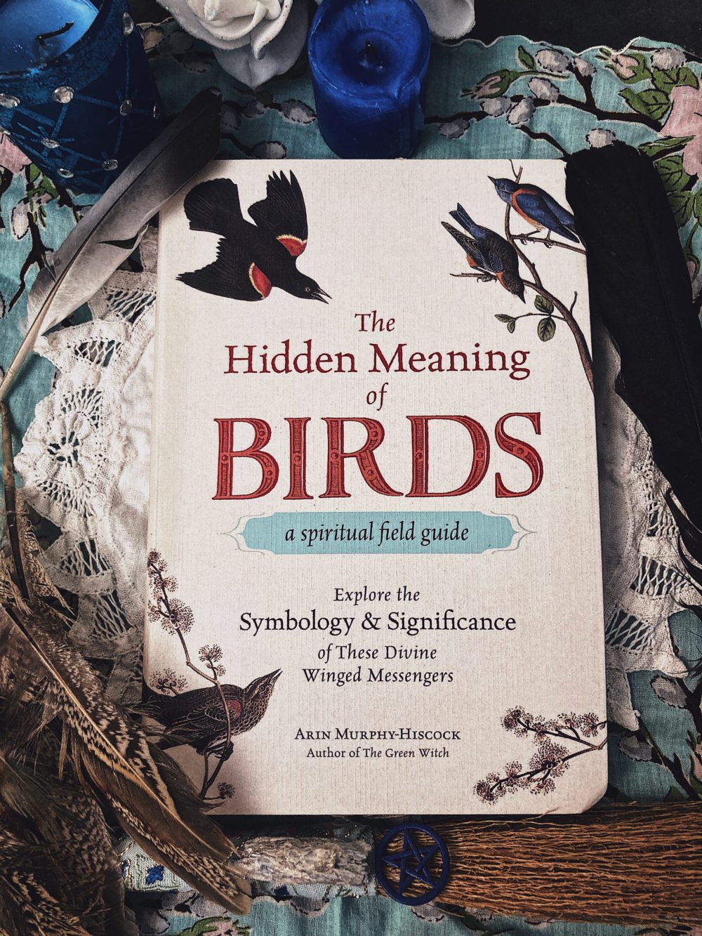 Book Review: The Hidden Meaning of Birds by Arin Murphy-Hiscock | Witchcrafted Life