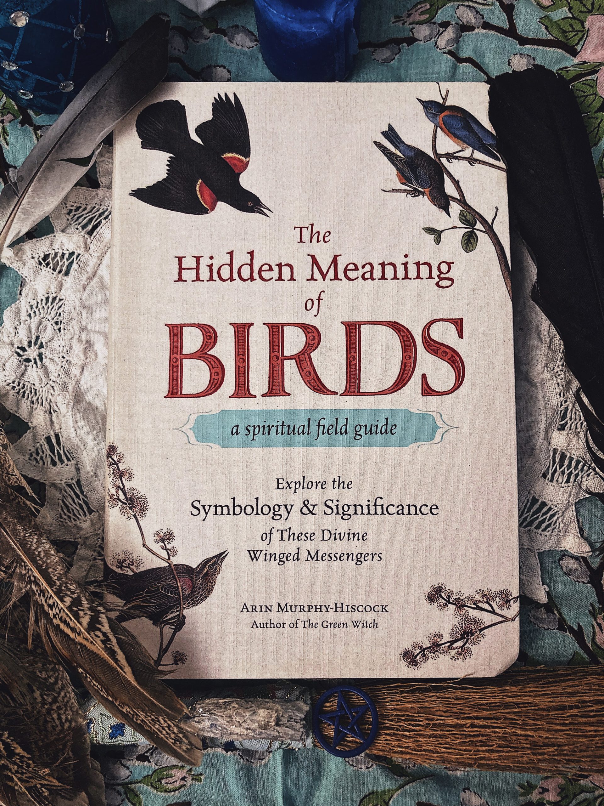 Book Review: The Hidden Meaning of Birds by Arin Murphy-Hiscock ...