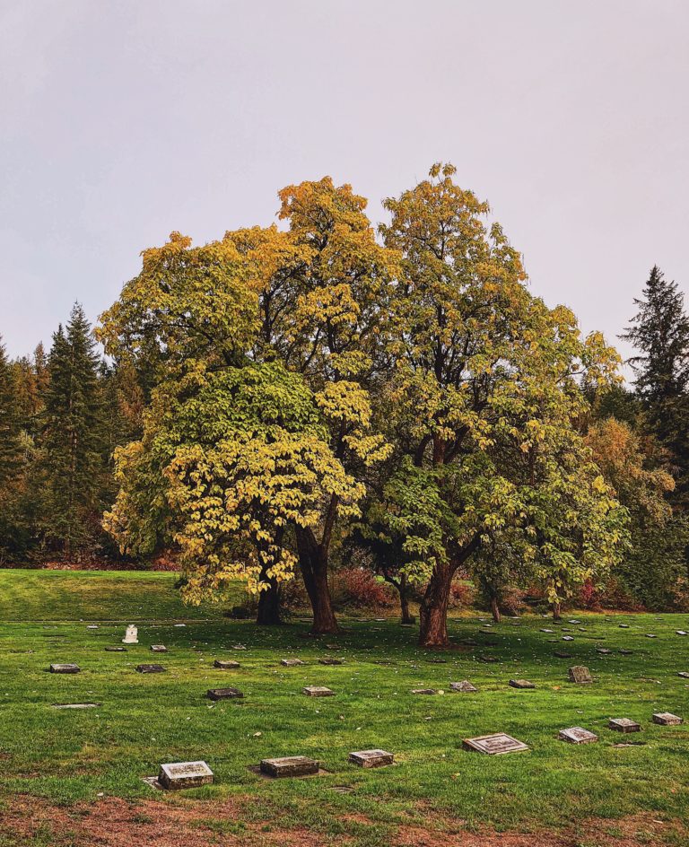 Cemetery Journeys: Enjoying Early Autumn at Mt. Ida Cemetery in Salmon ...
