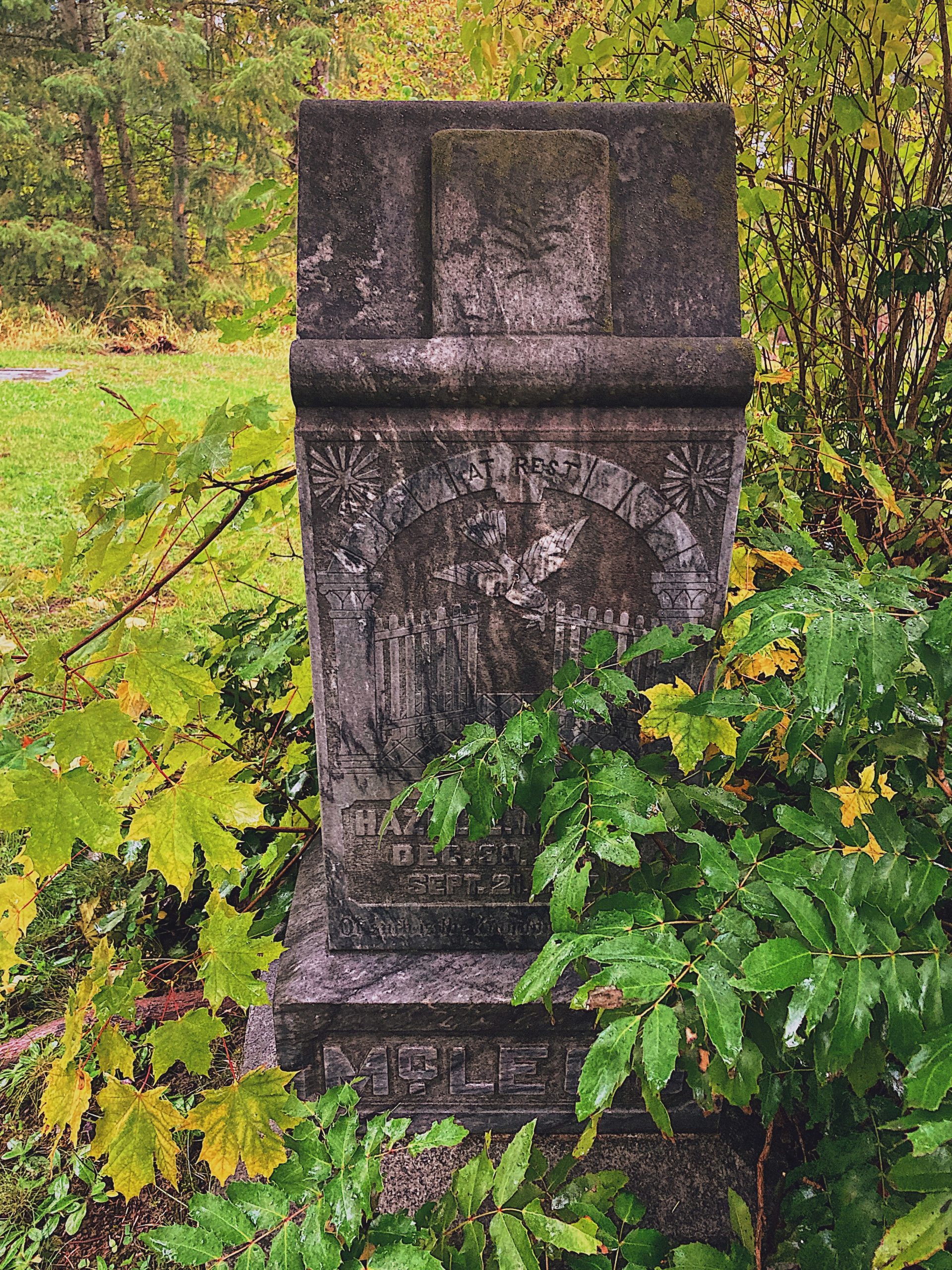 Cemetery Journeys: Enjoying Early Autumn at Mt. Ida Cemetery in Salmon ...