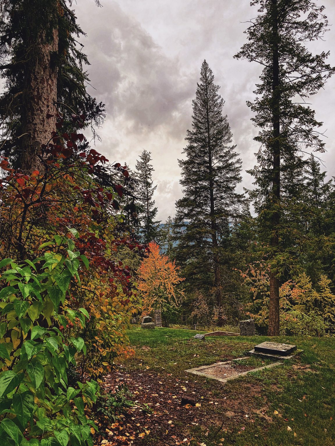 Cemetery Journeys: Enjoying Early Autumn at Mt. Ida Cemetery in Salmon ...