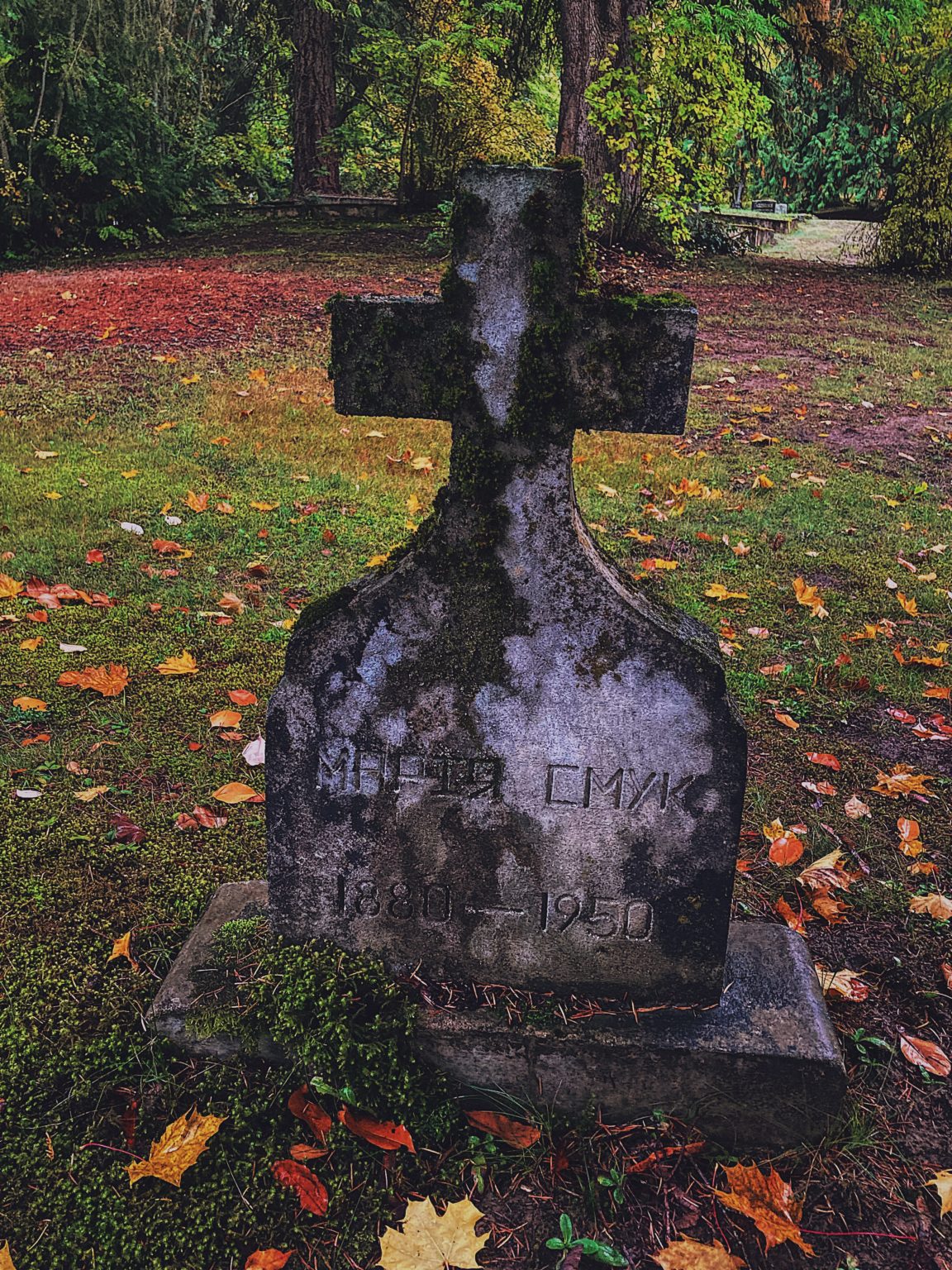 Cemetery Journeys: Enjoying Early Autumn at Mt. Ida Cemetery in Salmon ...