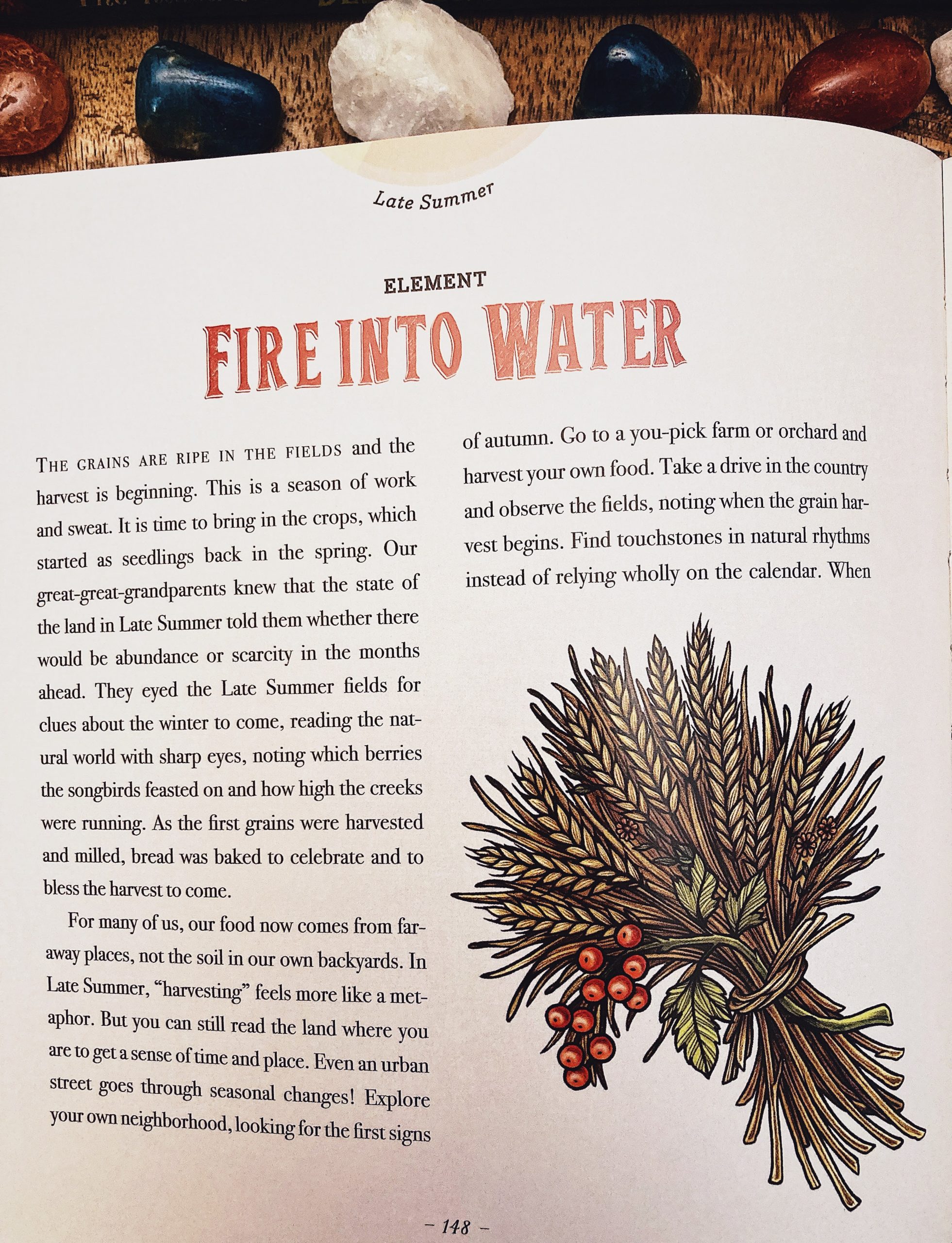 Author Interview & Book Review: Maia Toll’s Wild Wisdom Companion by Maia Toll | Witchcrafted Life