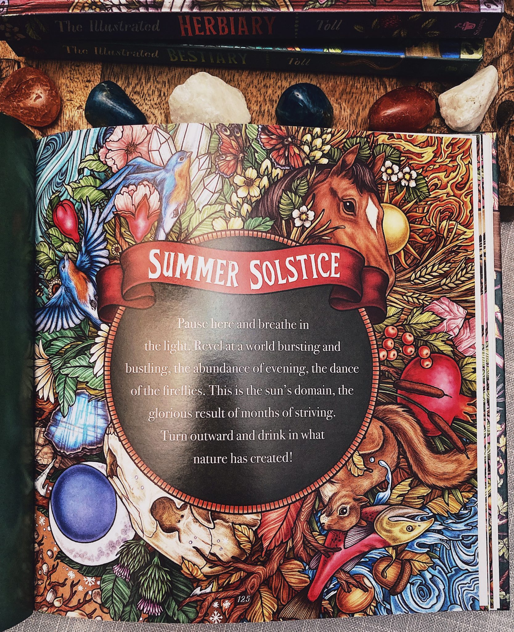 Author Interview & Book Review: Maia Toll’s Wild Wisdom Companion by Maia Toll | Witchcrafted Life