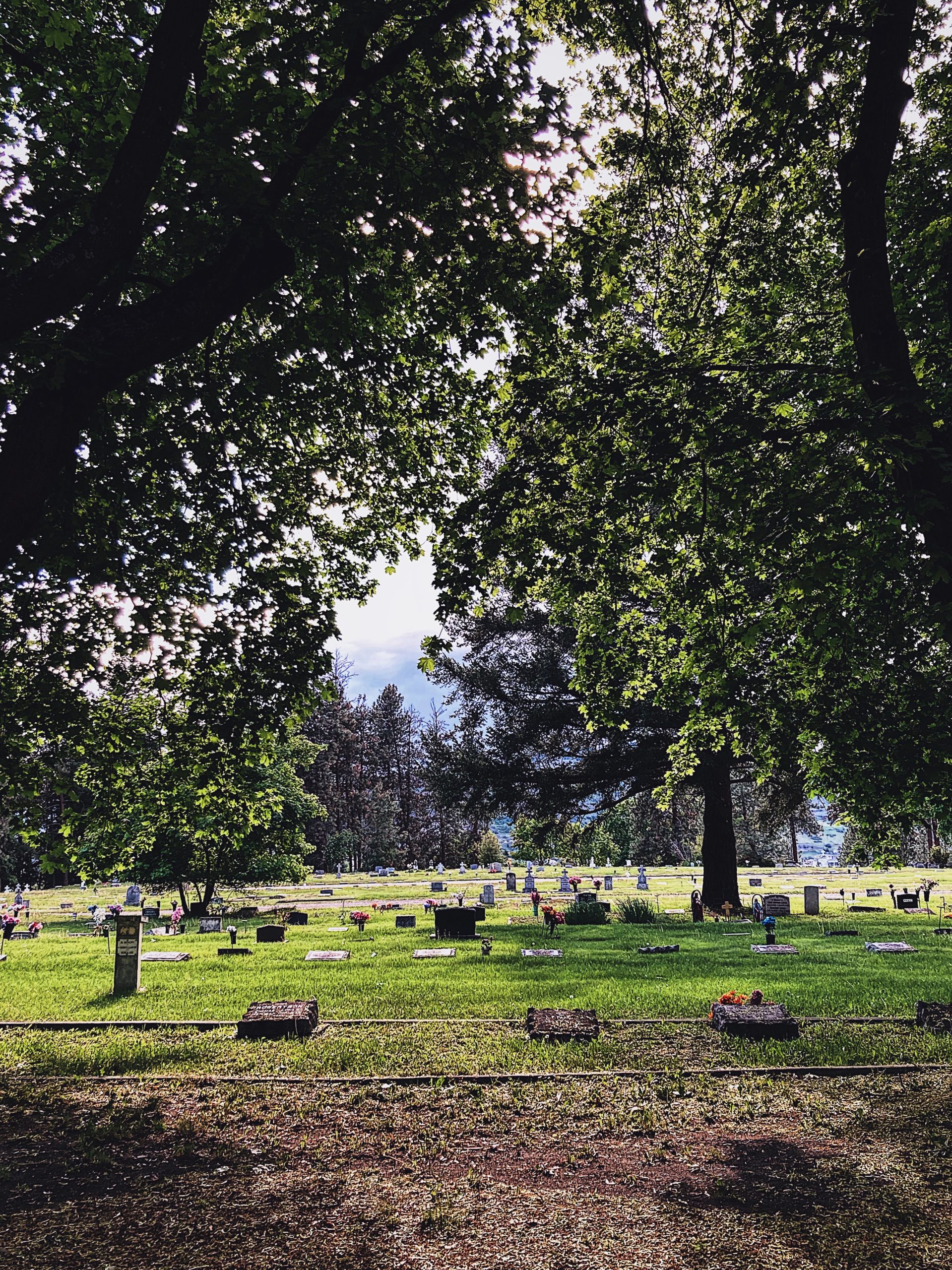 Cemetery Journeys: Springtime in Bloom at Pleasant Valley Cemetery in ...